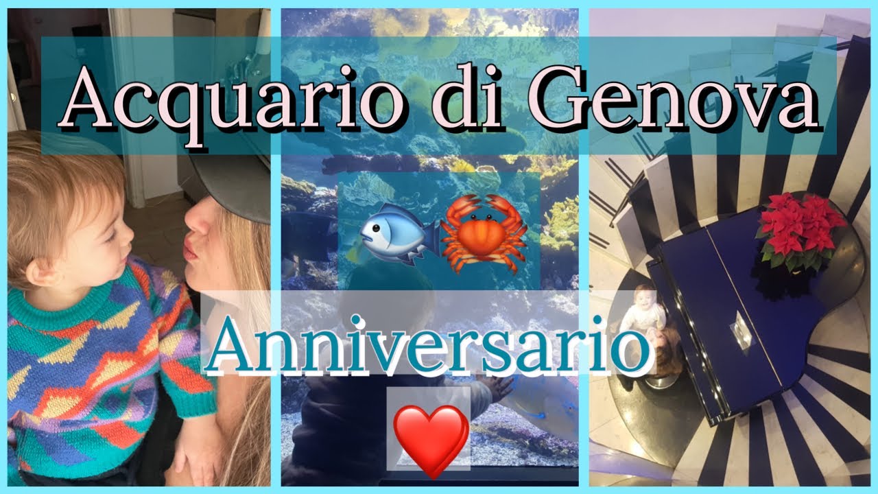Acquario di Genova 🐟🦀 // il nostro anniversario ️ primi passi Alex 🎉 ...