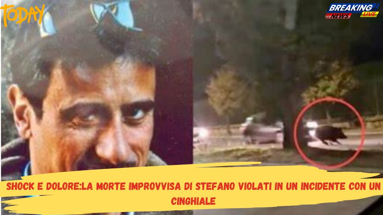 🟨SHOCK E DOLORE:LA MORTE IMPROVVISA DI STEFANO VIOLATI IN UN INCIDENTE ...