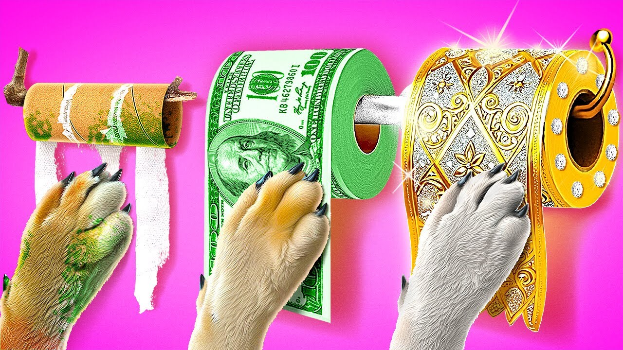 We built a Secret Room for Pets! 🐾 Poor vs Rich vs Millionaire Secret ...