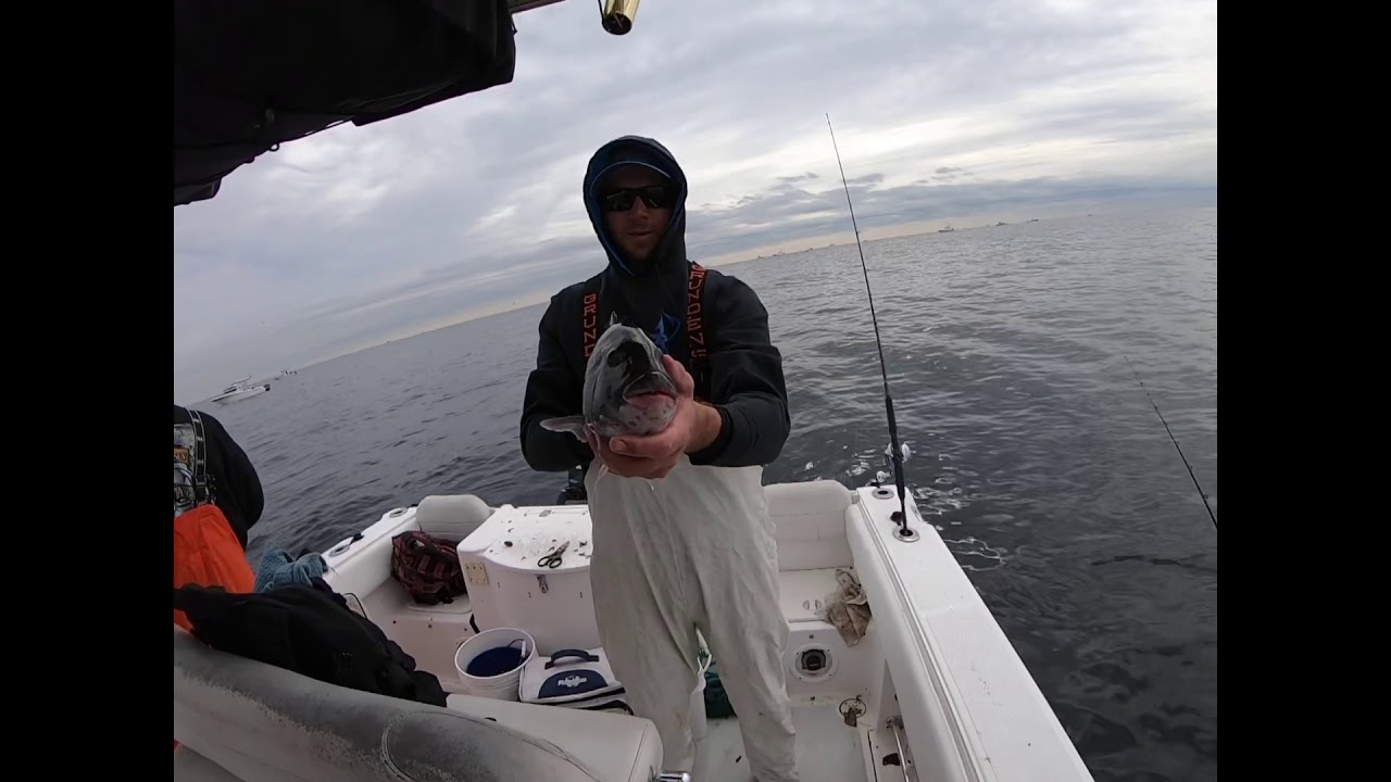 Tog Time - Jigging Blackfish - YouTube