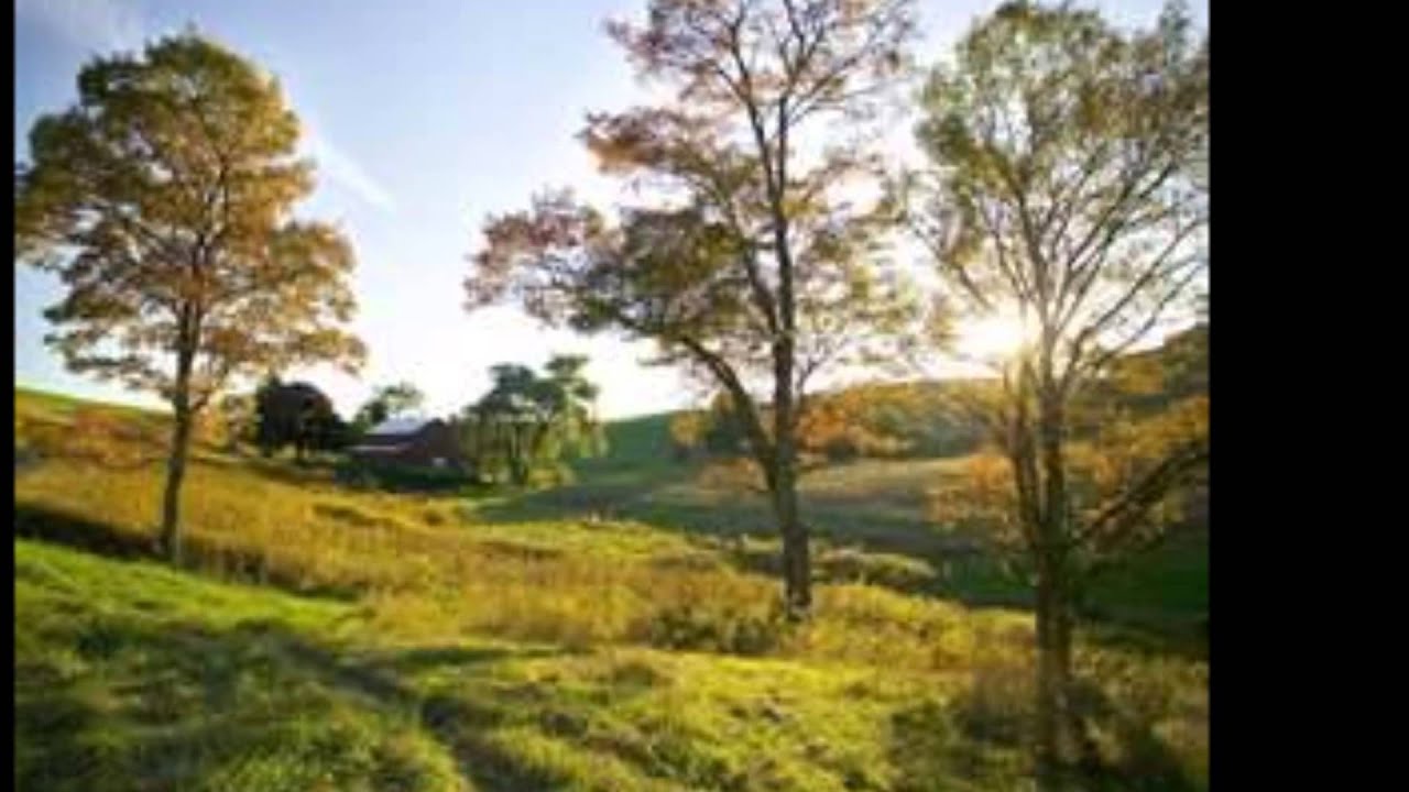 "The Green Green Grass of Home" -Curly Putnam - YouTube