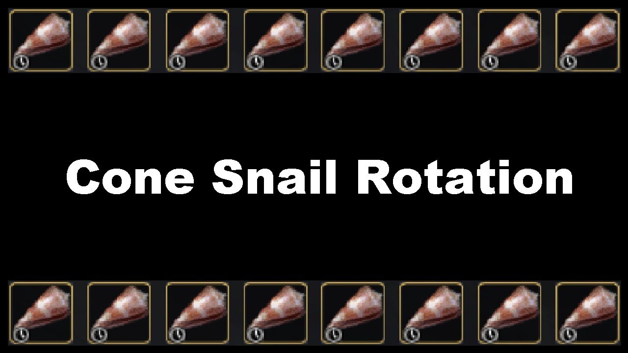 BDO: Cone Snail Rotation - YouTube