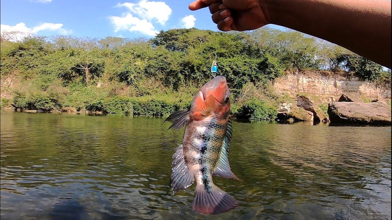 Atrapando mojarras de rio con cucharilla efectiva - YouTube