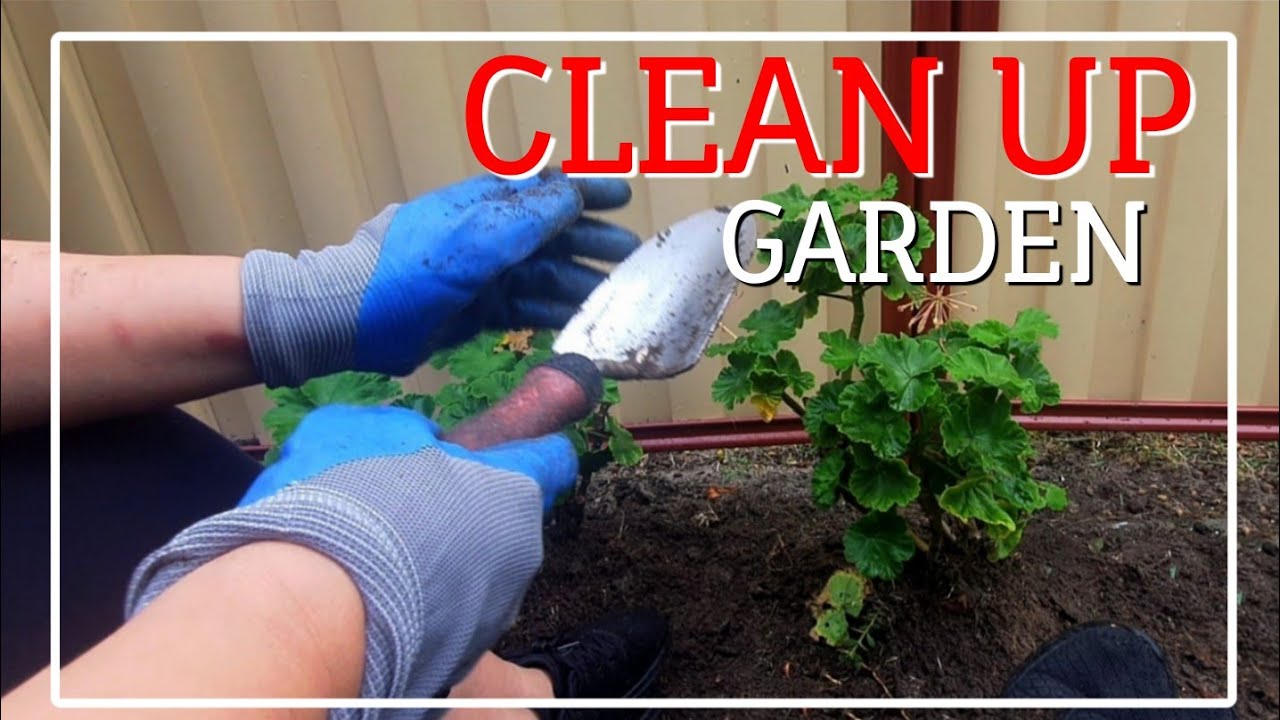 GARDEN CLEAN UP | SIMPLE LIVING | AUSTRALIA - YouTube