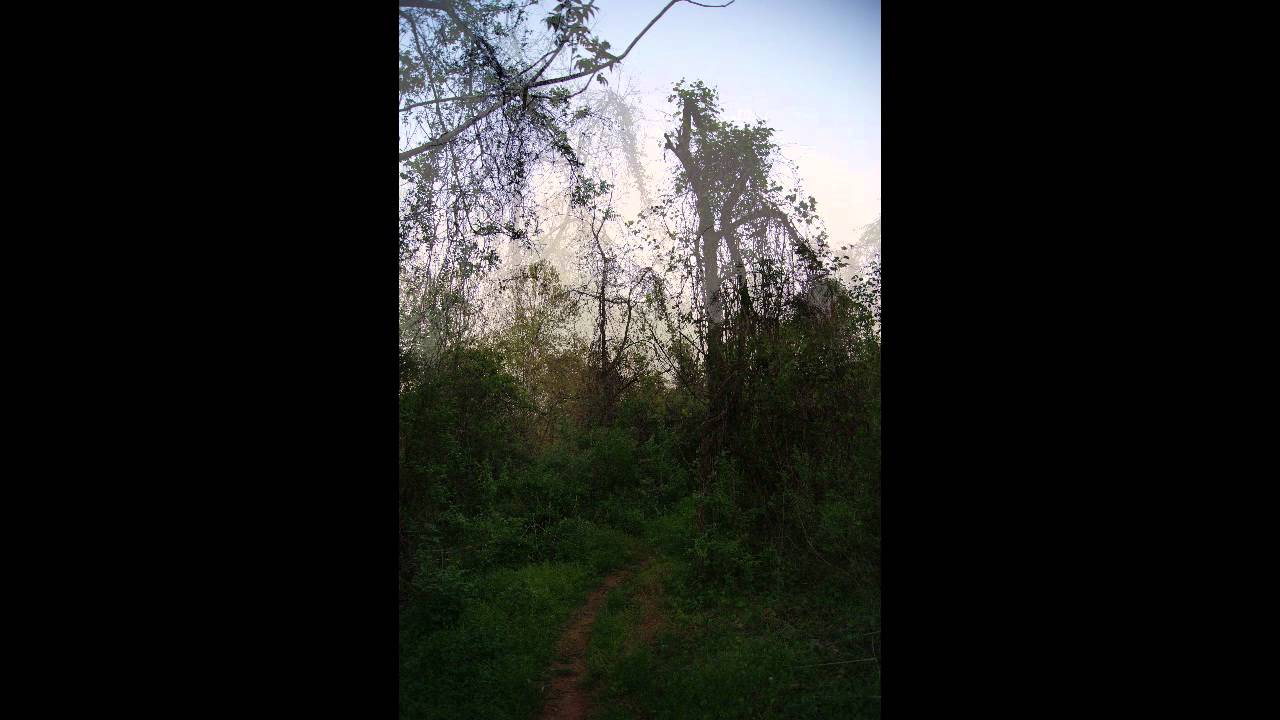 Psalm 24 NKJV Christian Bible Scripture Reading YouTube