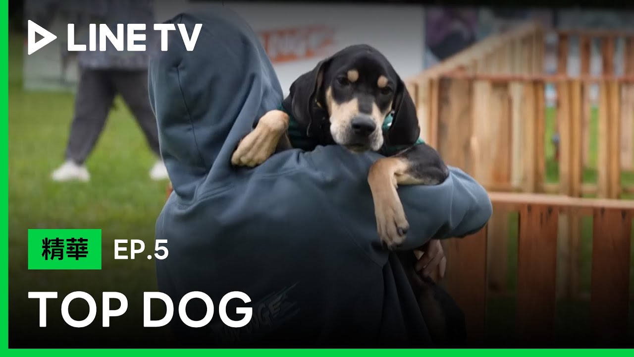 【TOP DOG】EP5：神犬Ozzy從不讓人失望！17秒完賽高階魔王迷宮直奔胡宇威！ | LINE TV 共享追劇生活 - YouTube