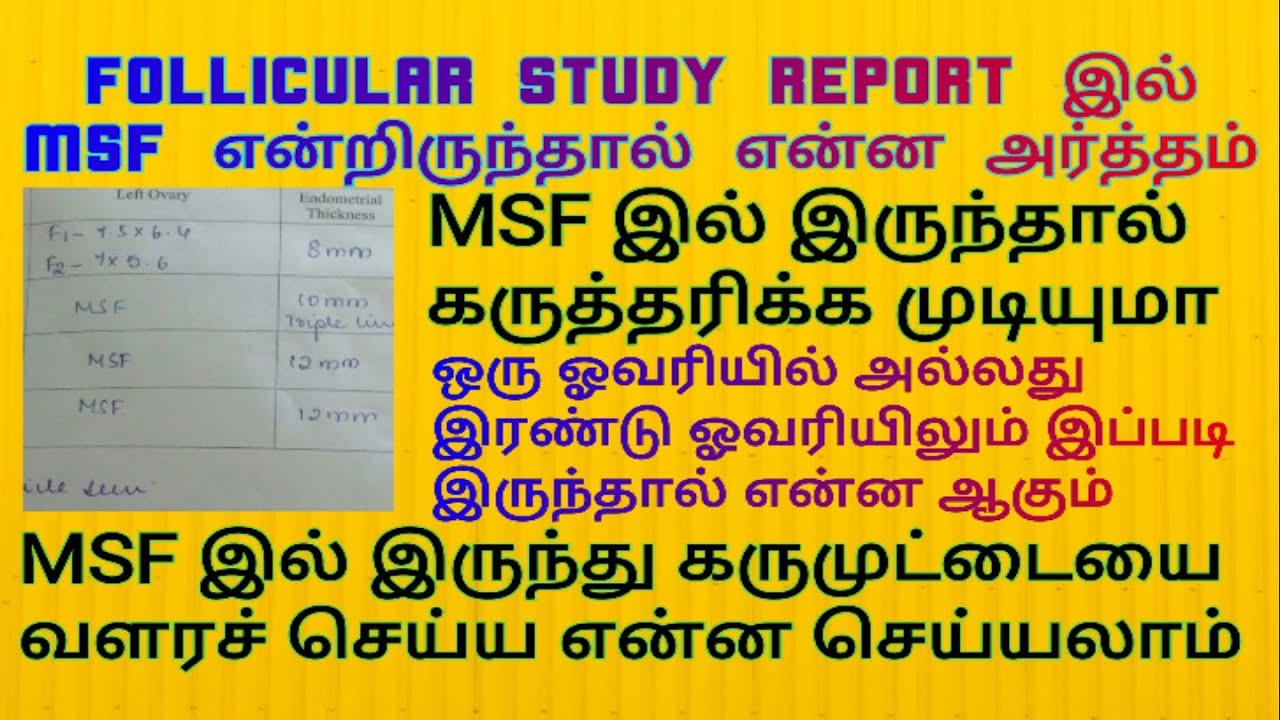 MSF in Follicular Study|Pregnancy chance for MSF in Follicular Study ...