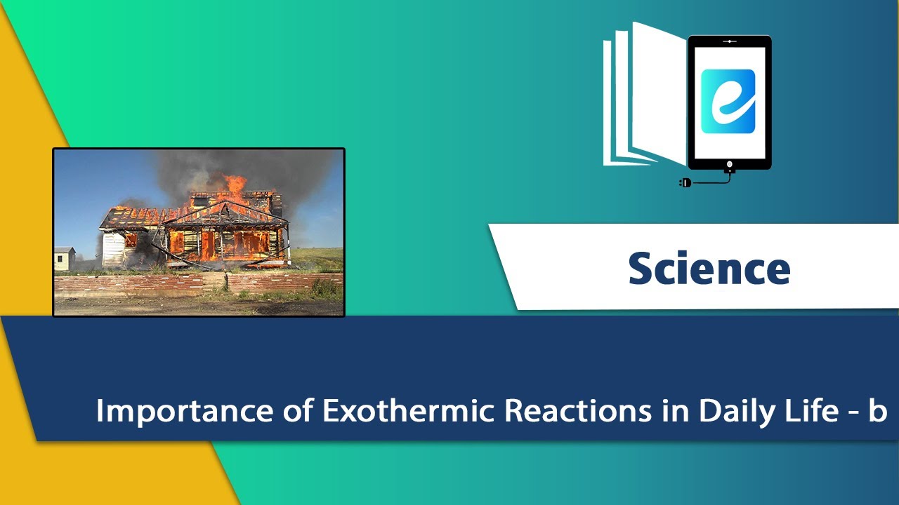 Importance of Exothermic reactions in daily life|| Animated Science ...