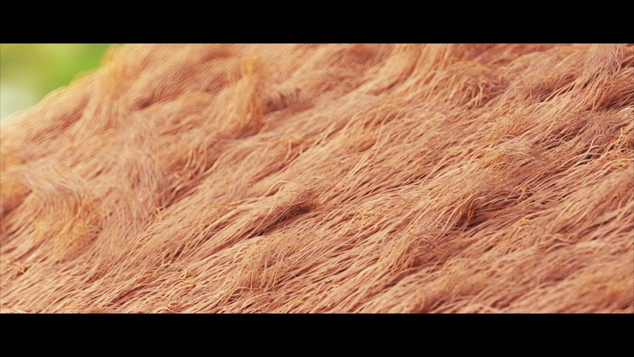 Hair Rendering in Redshift for Cinema 4D - YouTube