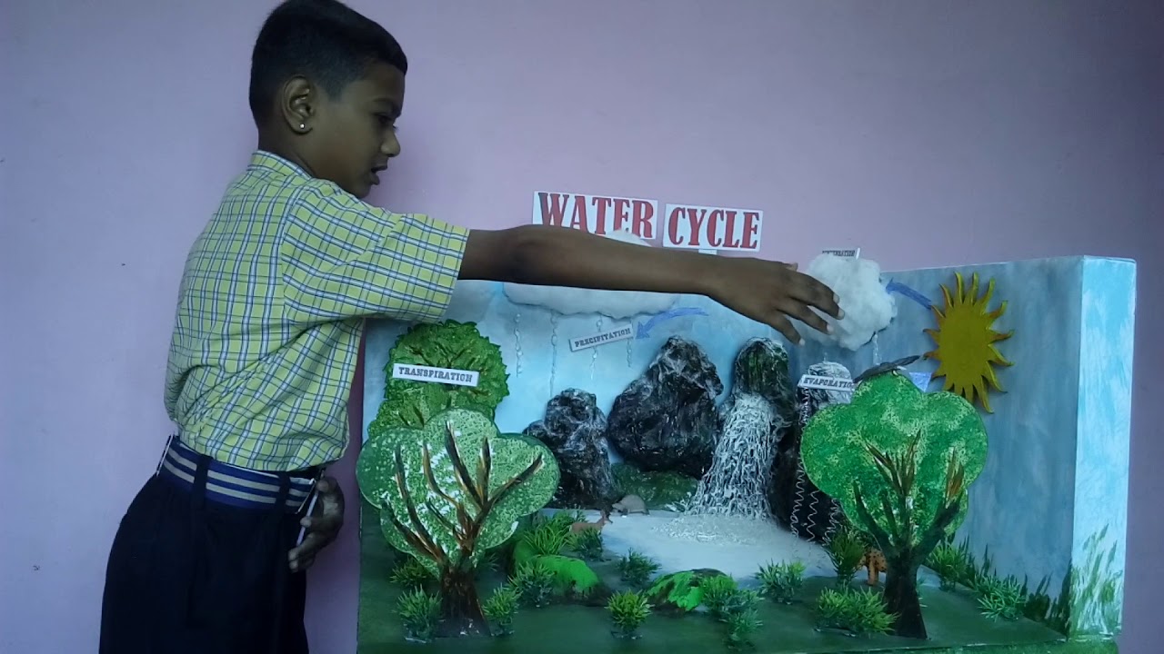 Science project on water cycle - YouTube