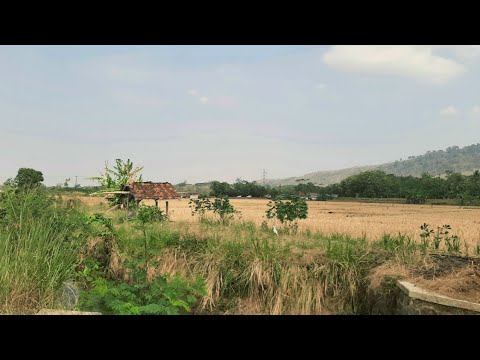kampung pedesaan sore hari yang cerah