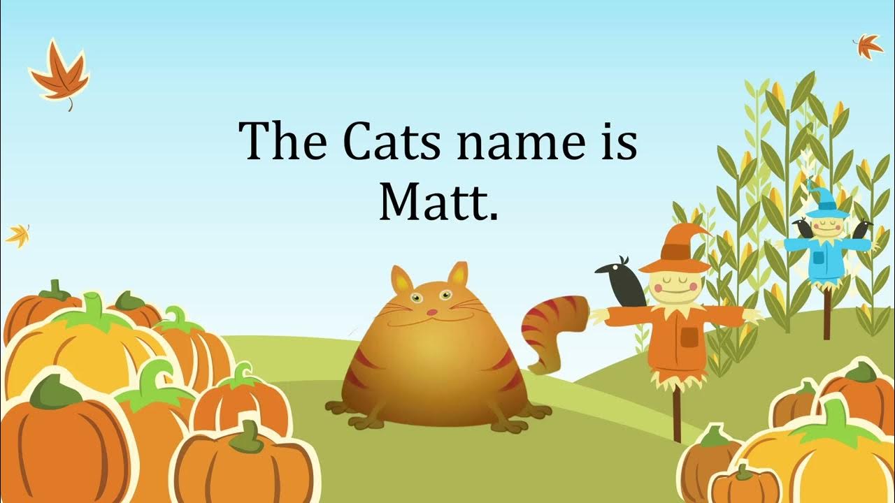 Short story about Pat and his Cat. Read along. - YouTube