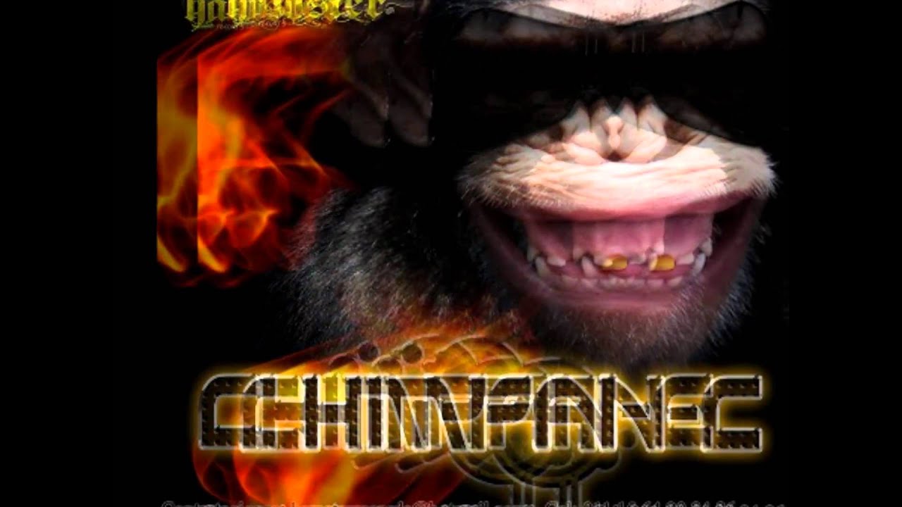 chimpanc solteros - YouTube Music