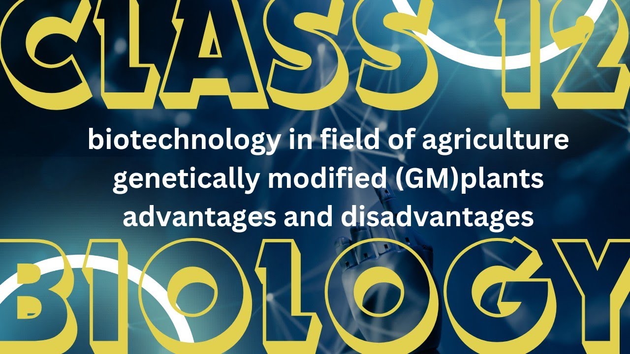 biotechnology in field of agriculture genetically modified (GM)plants ...