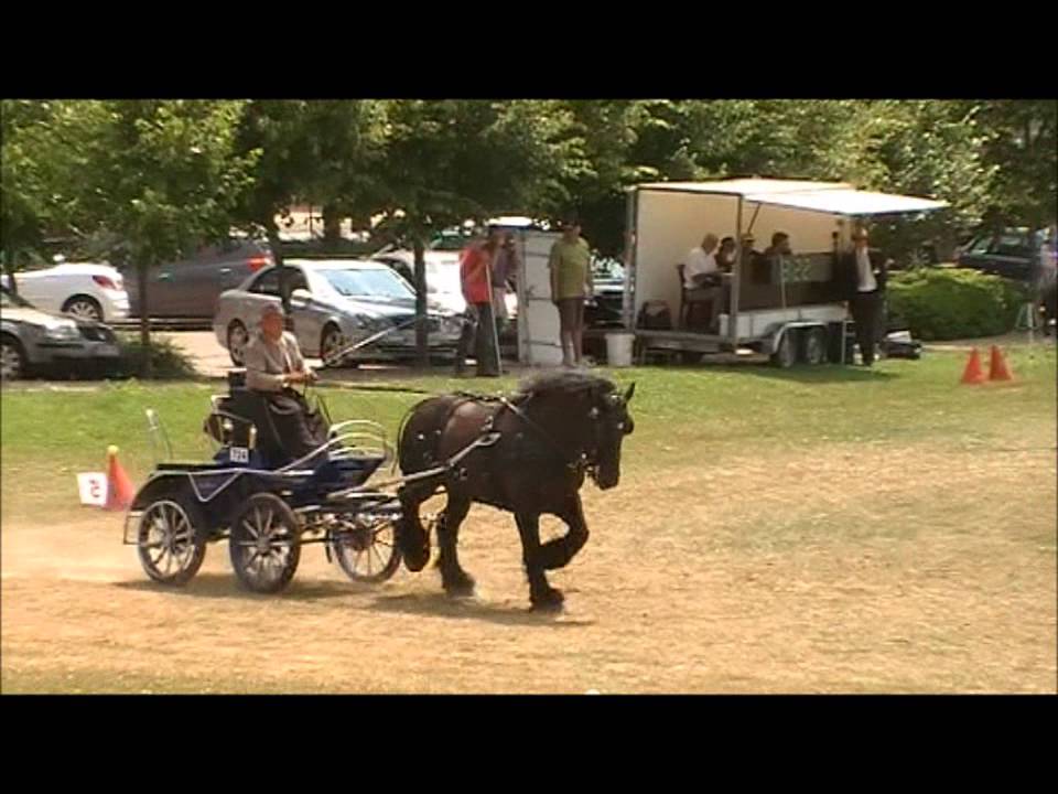 DKT - Luc Thijs - Linden - 13-14/07/2013 - YouTube