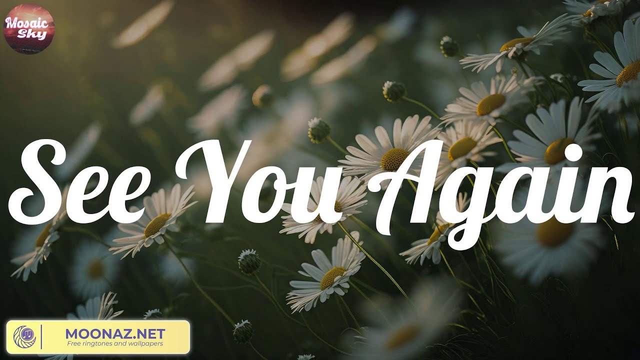 See You Again - Wiz Khalifa, Charlie Puth [Lyric] | Ed Sheeran, Calvin ...