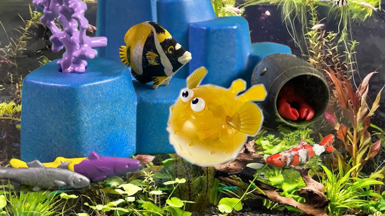 Finding Nemo 2.0 Nemo Meets the Tank Gang playmobil - YouTube