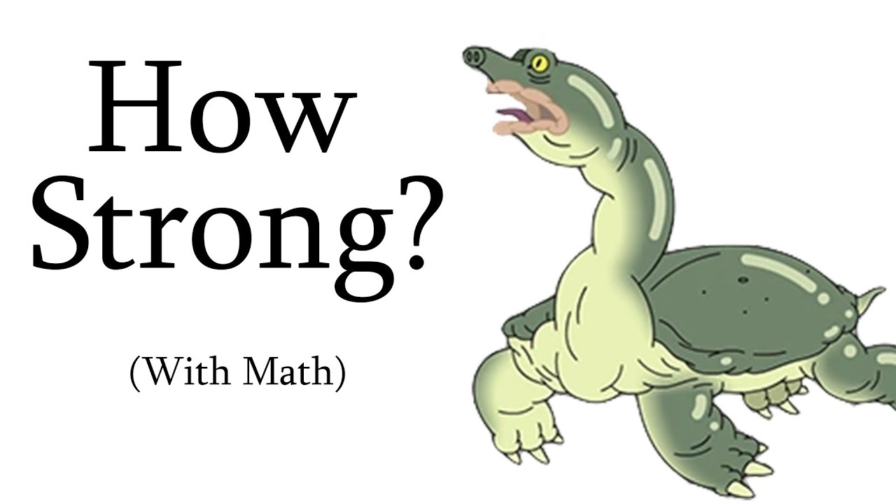 What's With The Turtles? - YouTube