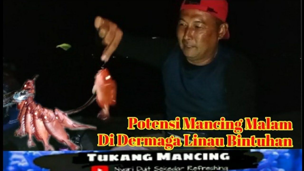 Mancing Malam Di Dermaga Linau Bintuhan Masih Sangat Potensial ...