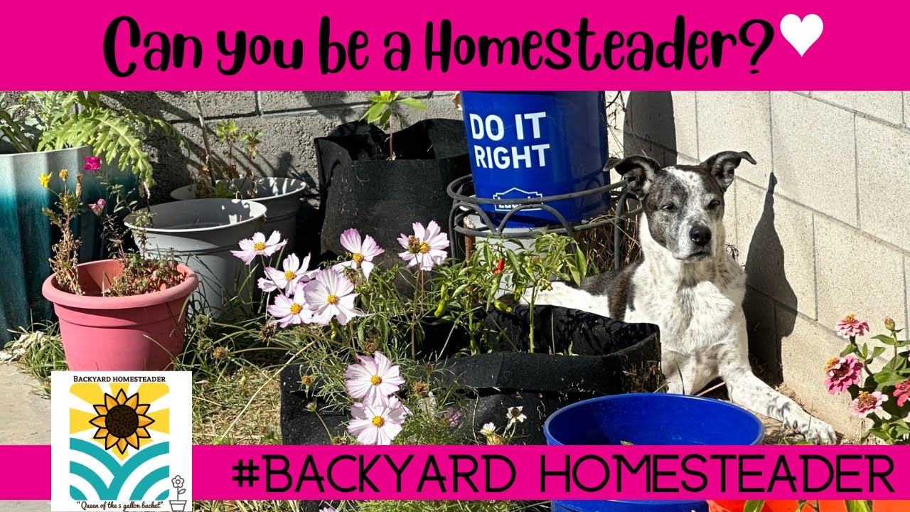 Can you be a Homesteader? Jessica Sowards of Roots and Refuge Farm "The ...