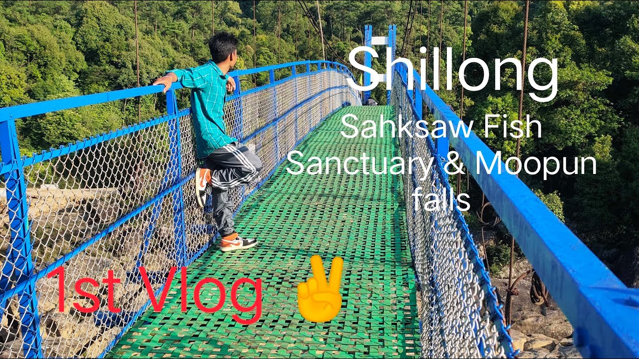 My first vlog | Shillong's Moopun Falls & Sahksaw fish sanctuary - YouTube