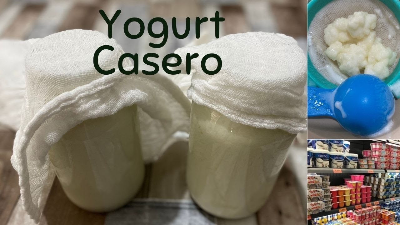 PREPARA YOGURT NATURAL, CON BÚLGAROS Y YOGURT COMERCIAL - YouTube