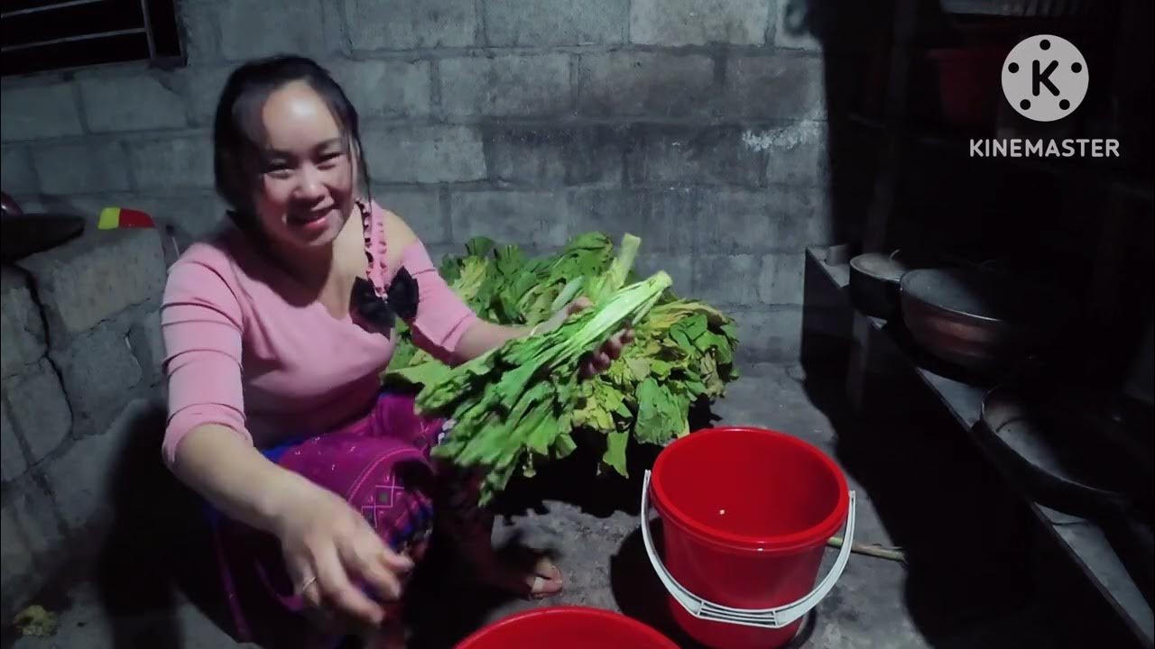 Hnub no hlab zaub qaub rau peb cov niam tub noj zoo li cas xwb - YouTube