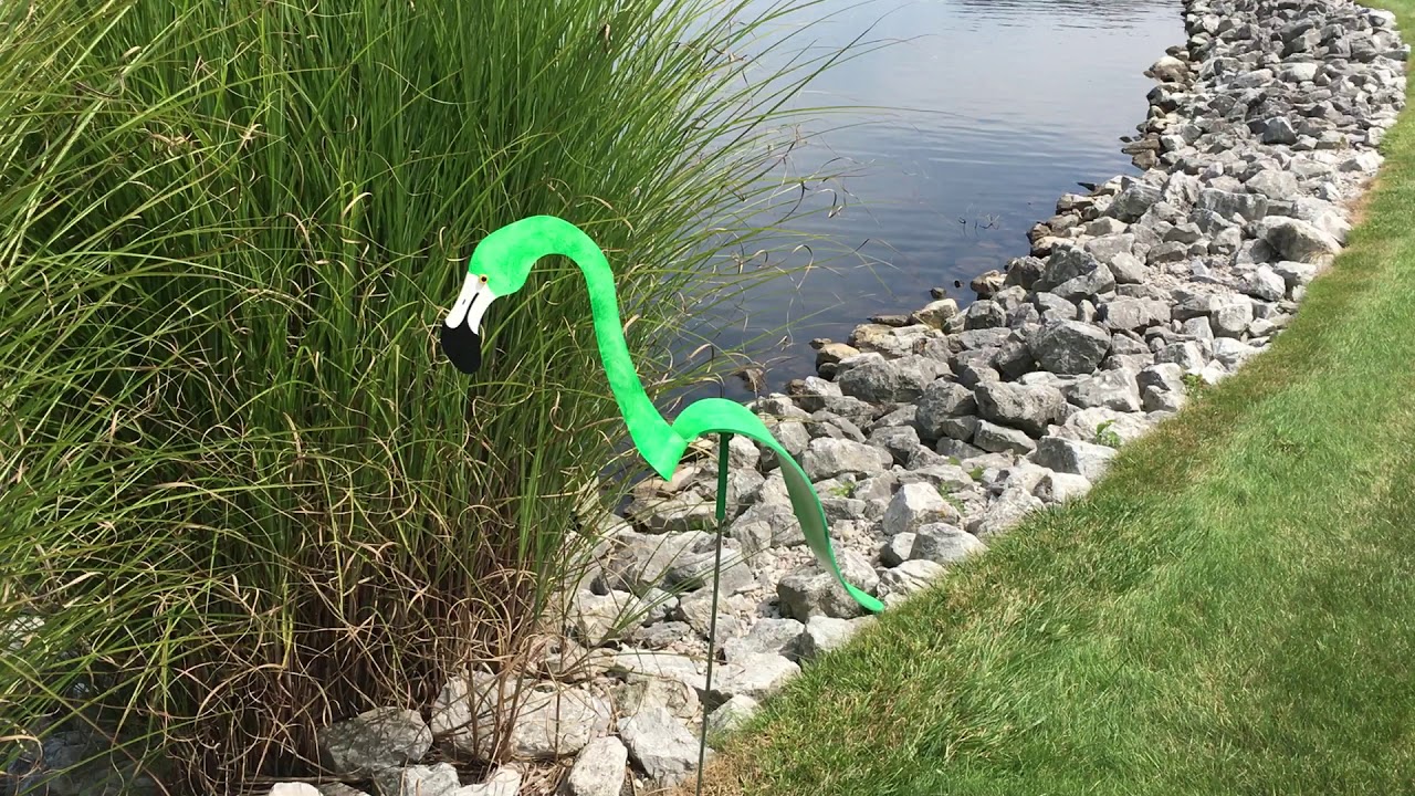 Florida Dancing Birds® Kelly Green Flamingo Garden Art - YouTube