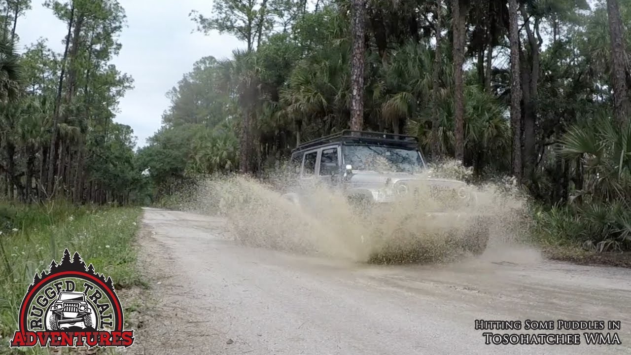 Tosohatchee WMA Trail Ride - April 2020 - YouTube