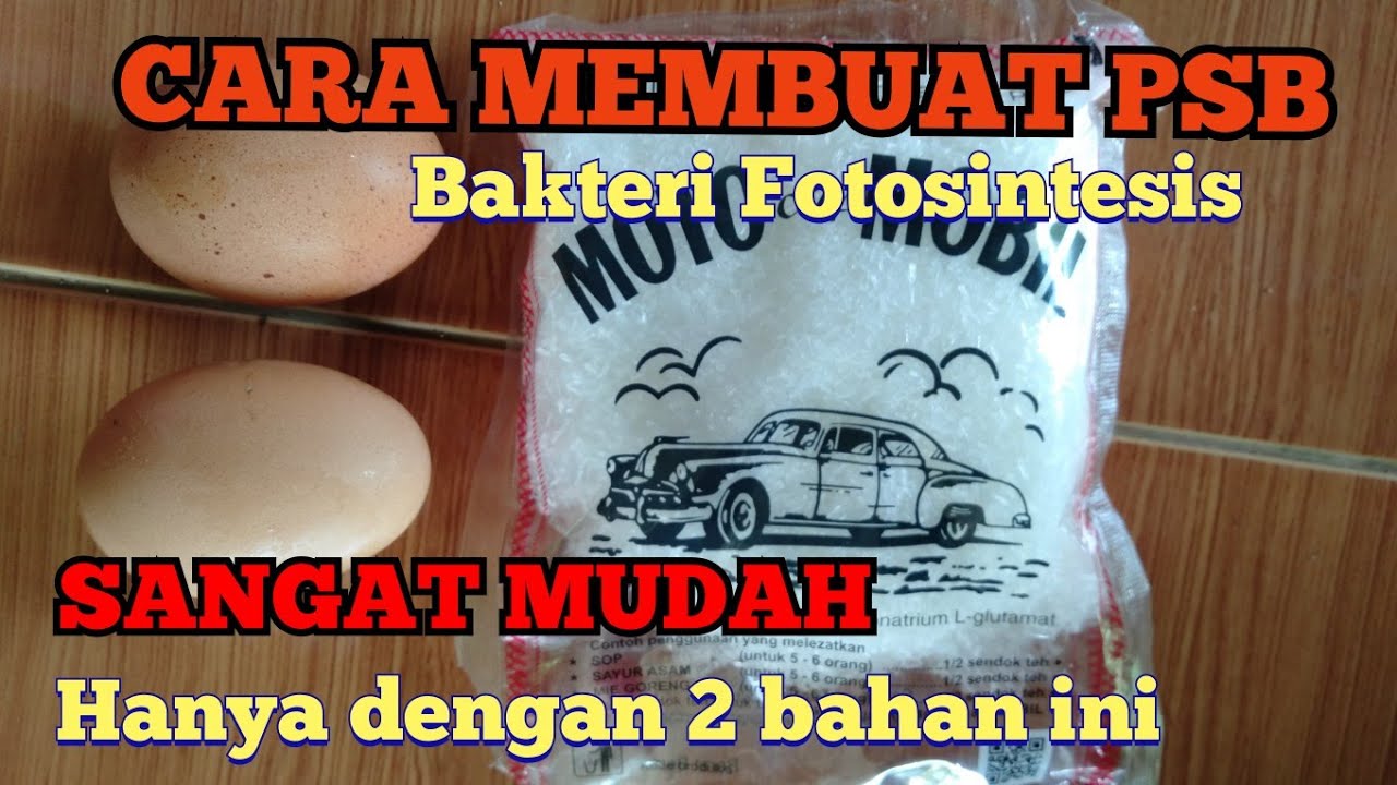 Cara membuat Pupuk (bakteri fotosintesis) PSB, sangat mudah dan hemat ...