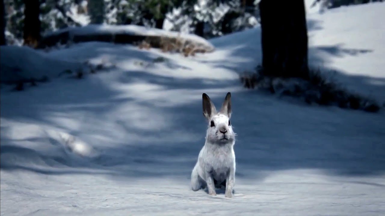 THE LAST OF US PART 1 REMAKE - Ellie kills a Rabbit Cutscene - YouTube