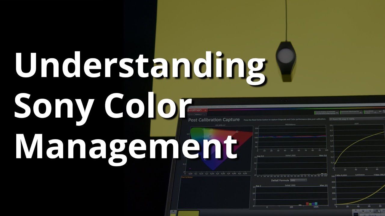 Tutorial: Get the Most Out of Your Sony TV with Calman Calibration ...