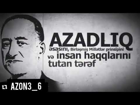 Məhəmməd Əmin Rəsulzadə - 28 may cixisi