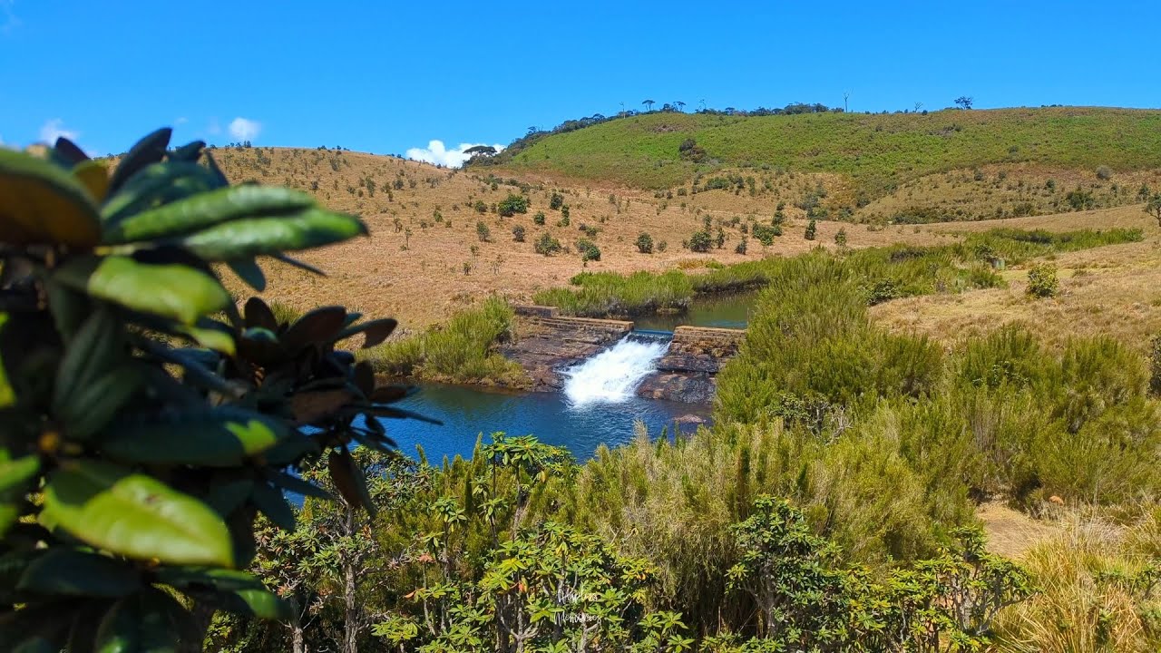 🌿 Horton Plains National Park | Cinematic Nature Escape | 4K 🌿 - YouTube