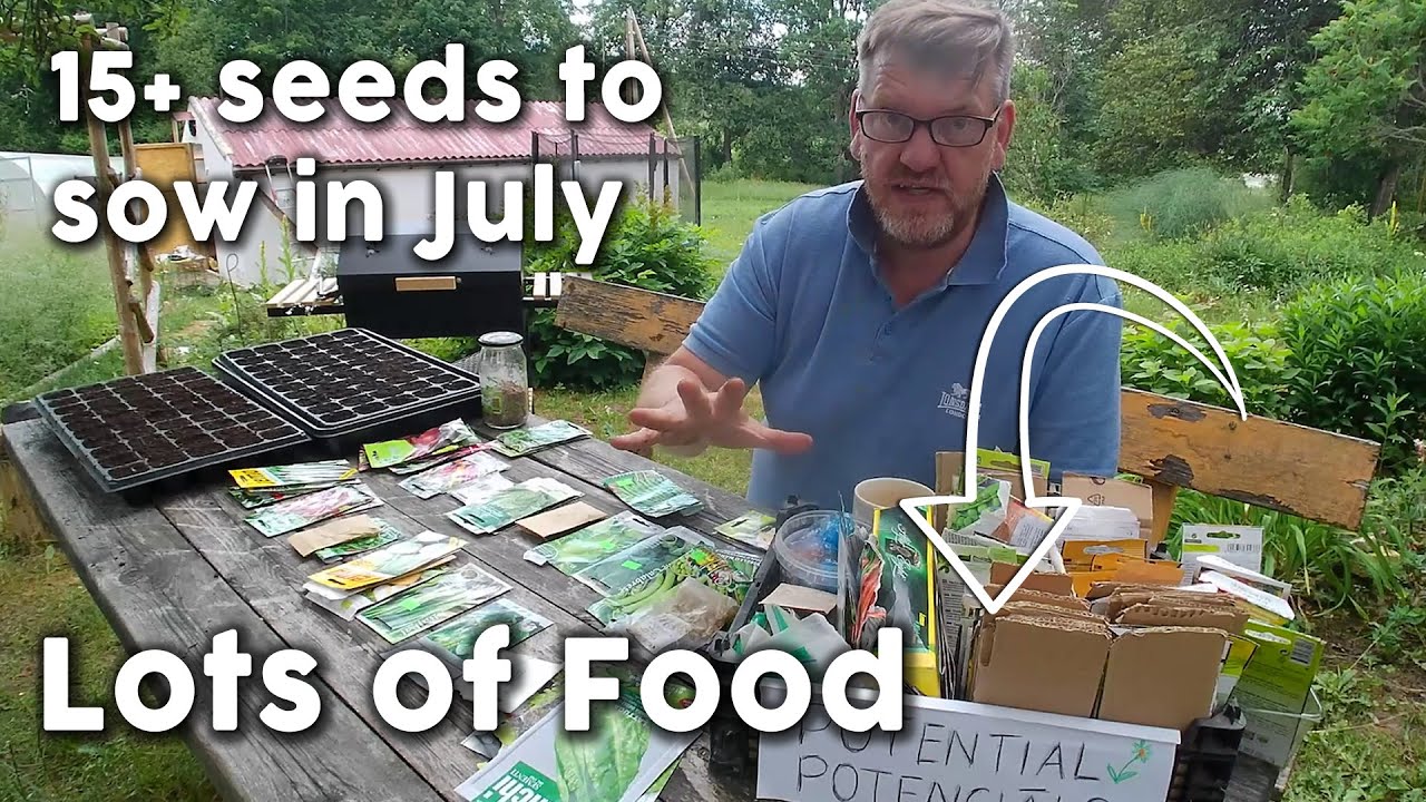 15+ Seeds to Sow in July | Our Latvian Homestead - YouTube