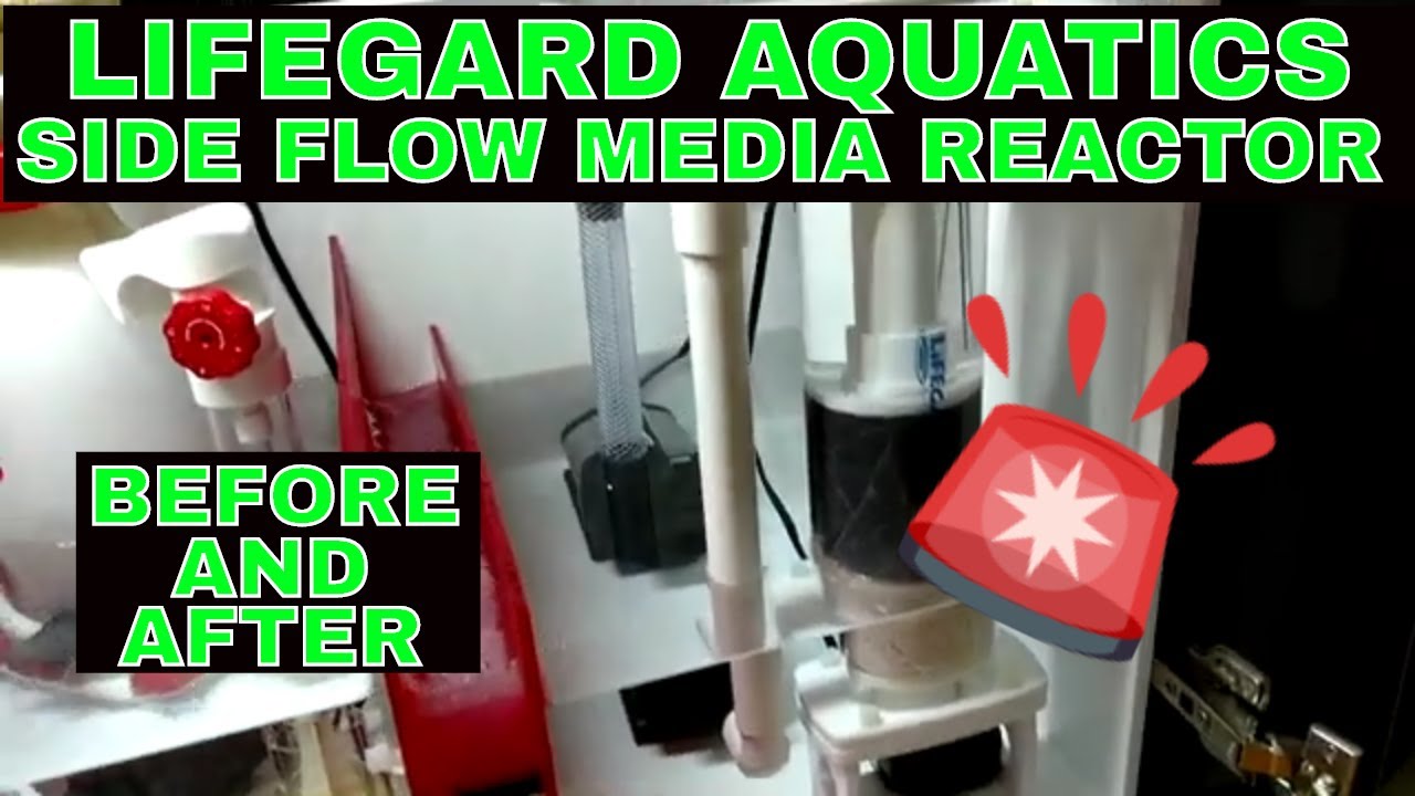 New Media Reactor Install - Lifegard Aquatics Side Flow Reactor - Sump ...