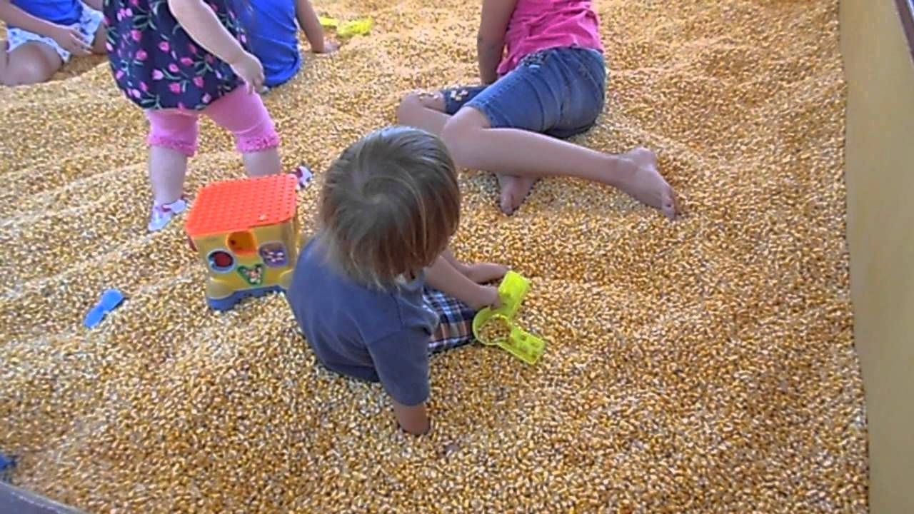 Austin Jumping in Corn 8 26 12 - YouTube