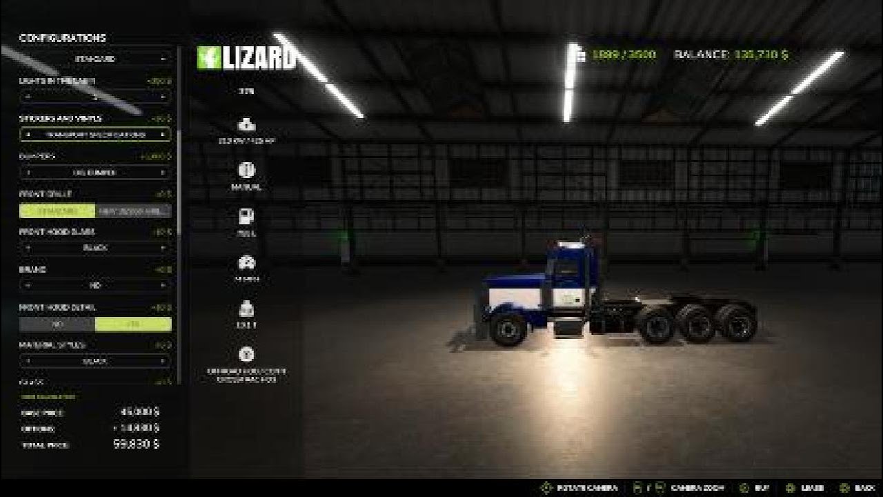 lizard 379 - YouTube