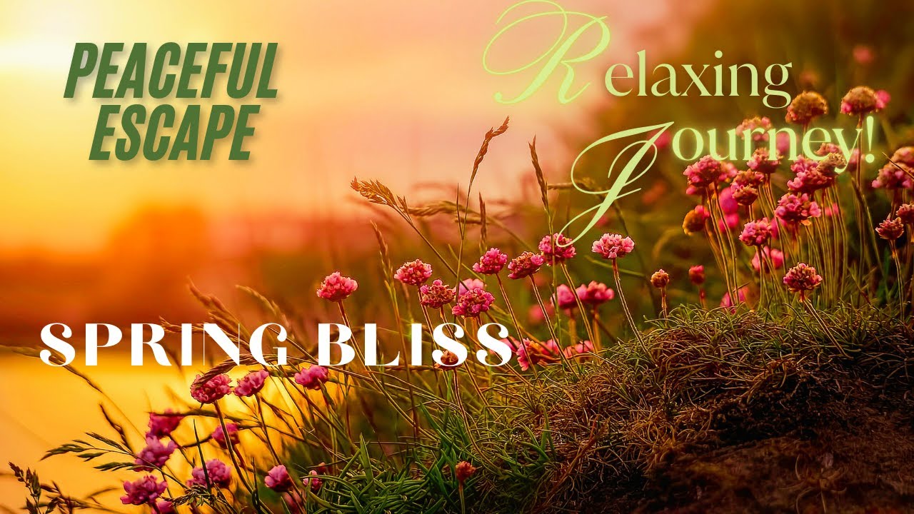 Springtime Serenity: Relaxing Music with Birdsongs & Blooming Flowers ...