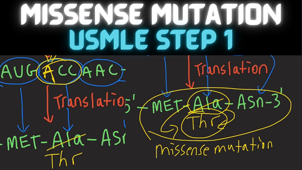 Missense Mutation | Biochemistry | USMLE Step 1 - YouTube
