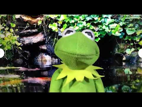Have Kermit the Frog greet YOU a Happy Birthday! - YouTube