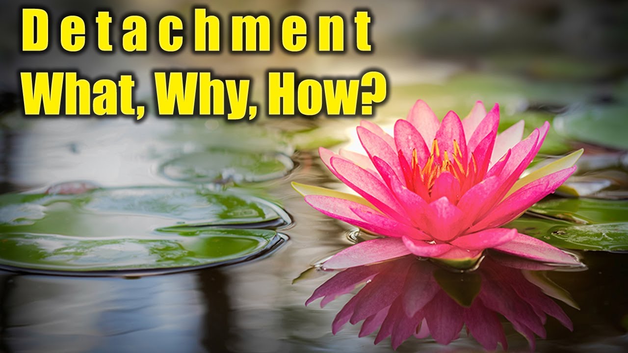 How to Detach Yourself - What is Emotional Detachment? - YouTube