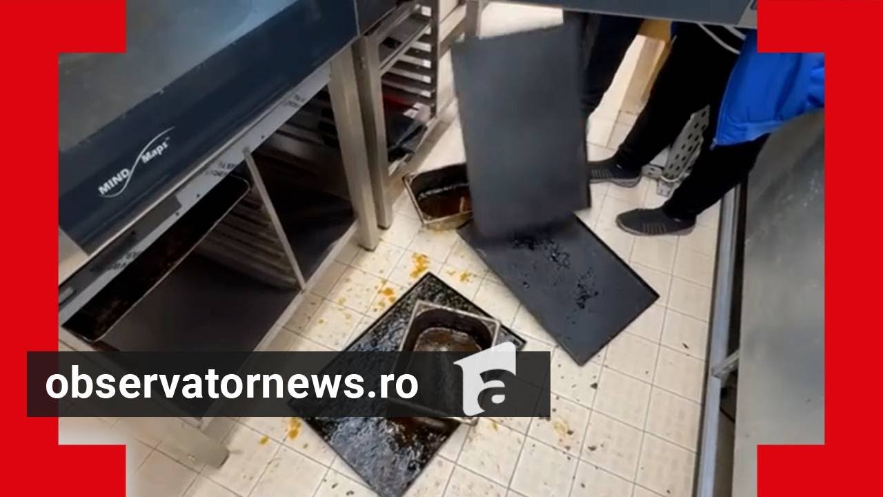 Şobolani, gândaci, frigidere infecte și mâncare stricată: inspectorii ...