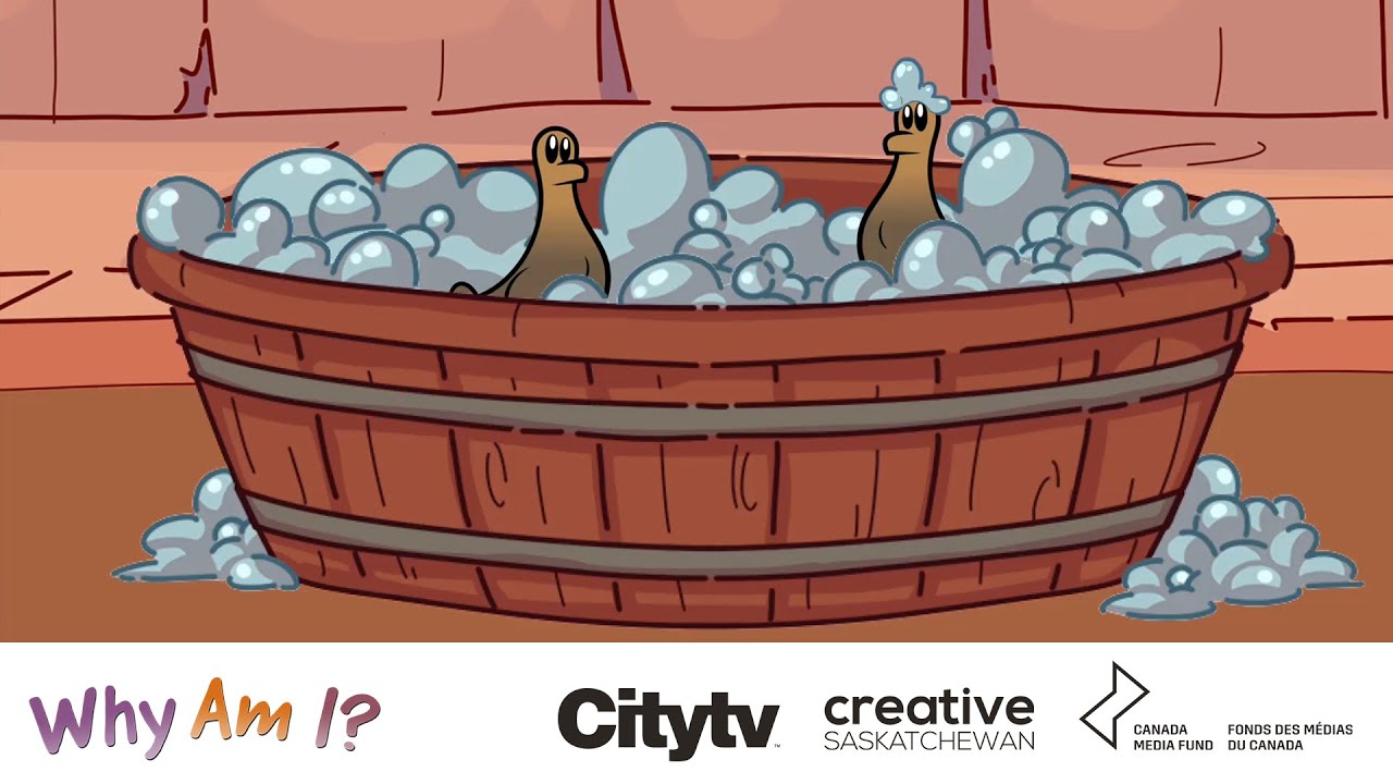 Why Am I - Bath Time - Kids Show - YouTube