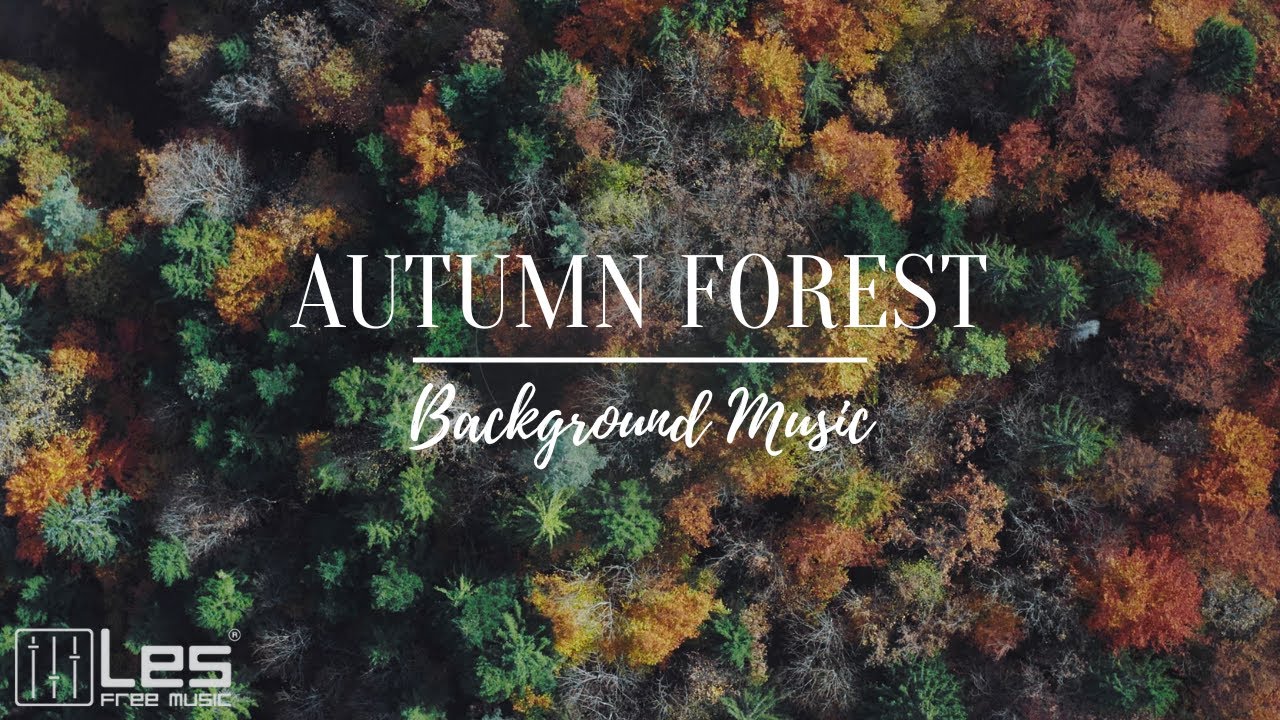 Autumn Forest : Acoustic Dreamy Folk Background Music - YouTube