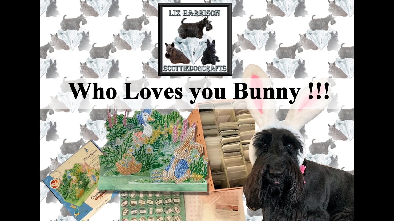 Diamond Painting | Peter Rabbit Scene | Completion Review | Kit Down ...