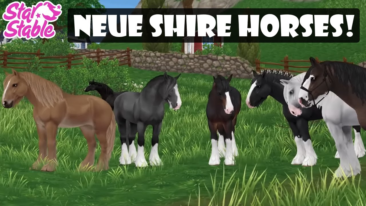 Die neuen Shire Horses sind da! | Star Stable Online [SSO Update] - YouTube
