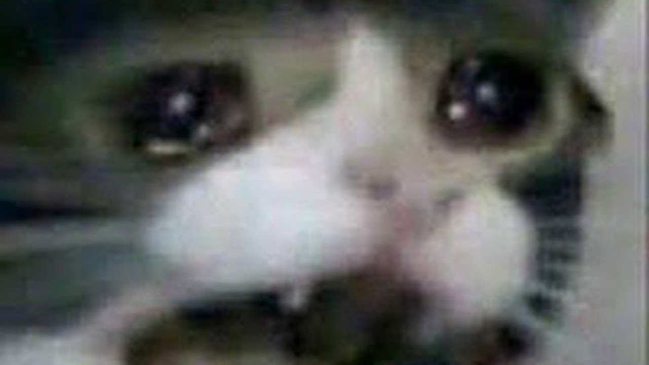 stream y charla tranquila ;3 - YouTube
