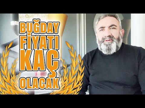 Buğday Fiyatı Kaç Olacak ? | Eşref Şekerli
