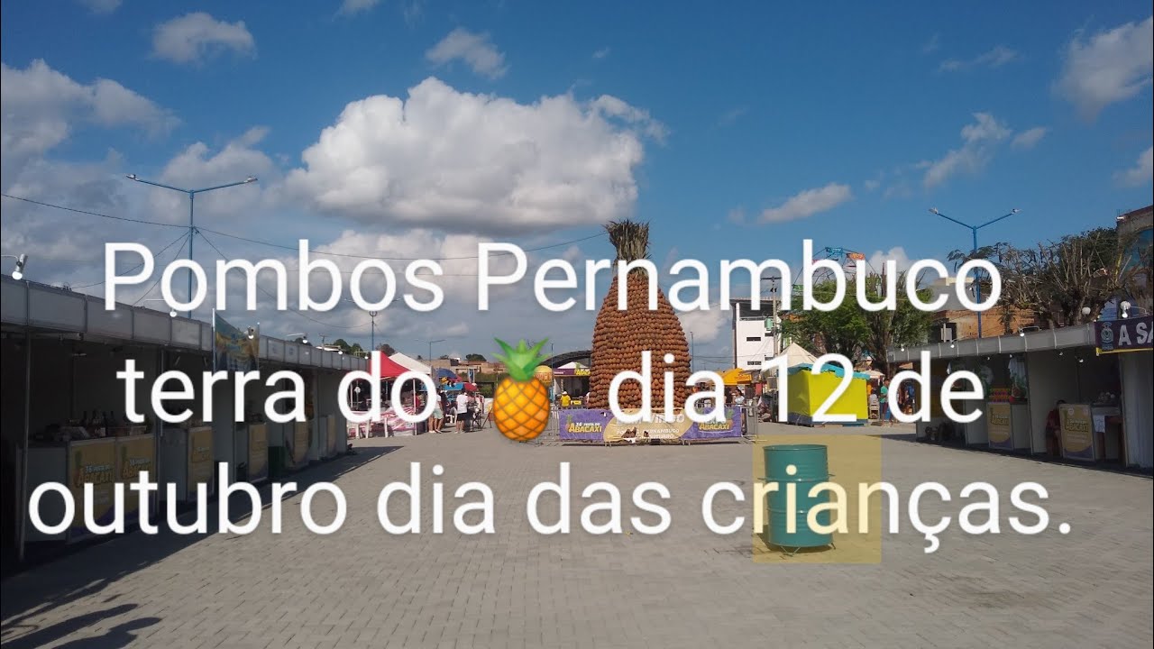 pombos Pernambuco terra do 🍍 dia 12 de outubro dia das crianças #pombos ...